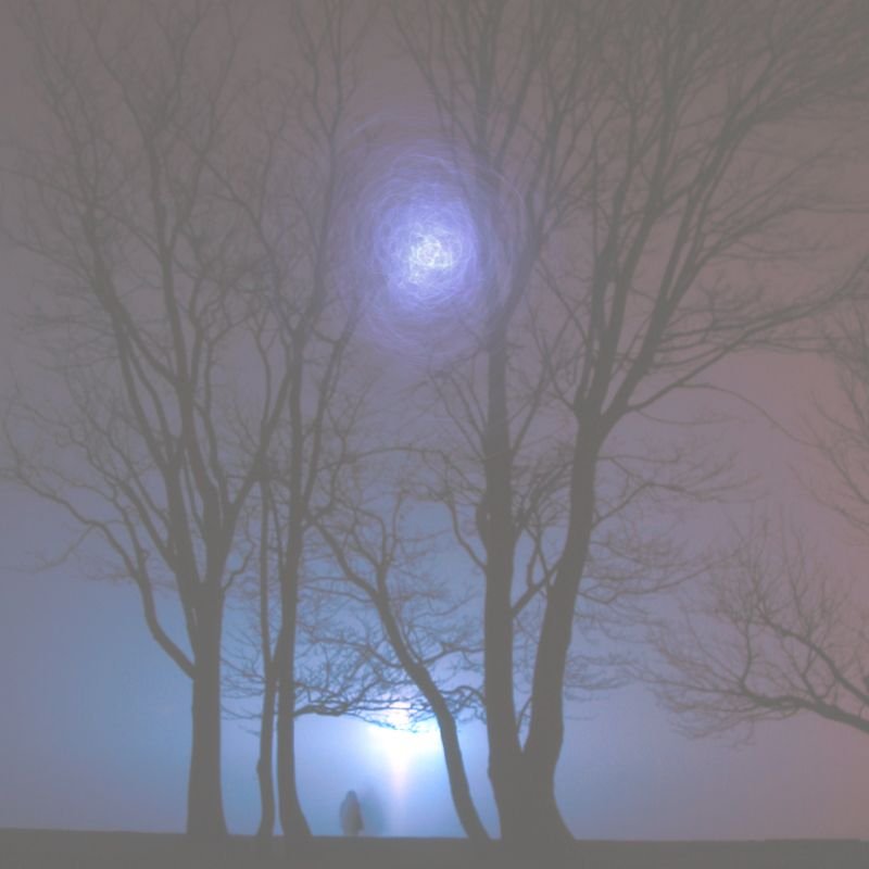 Meditation Library — KATY SLOANE