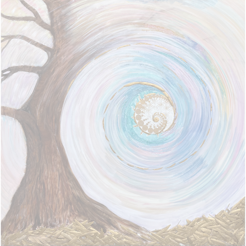 Meditation Library — KATY SLOANE