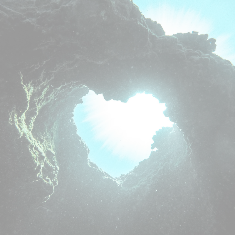 Meditation Library — KATY SLOANE