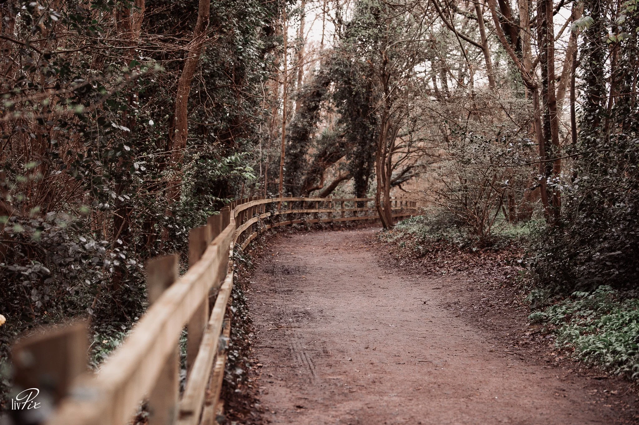 Newent Town — LivPix Photography and Creations
