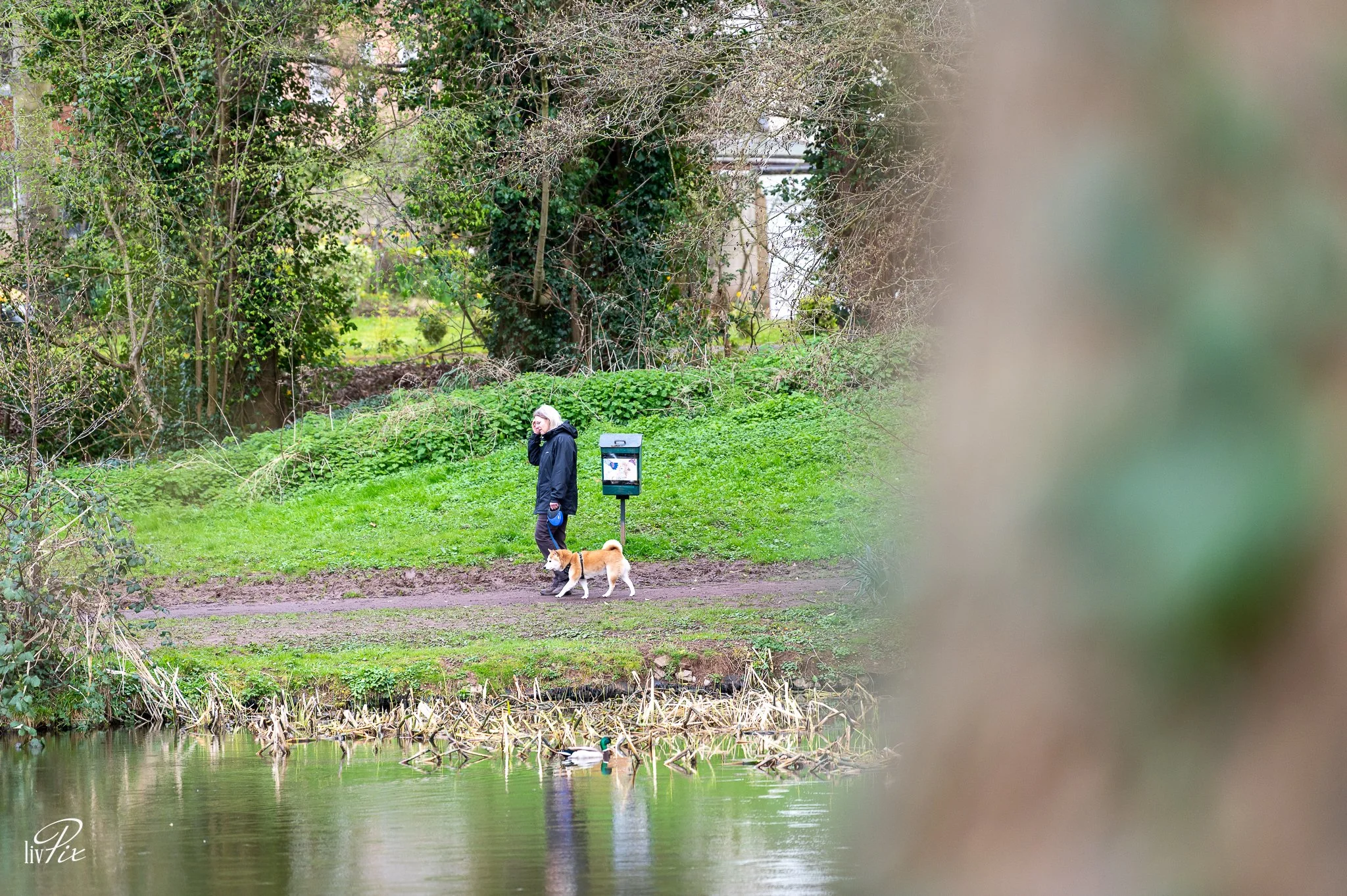 Newent Town — LivPix Photography and Creations