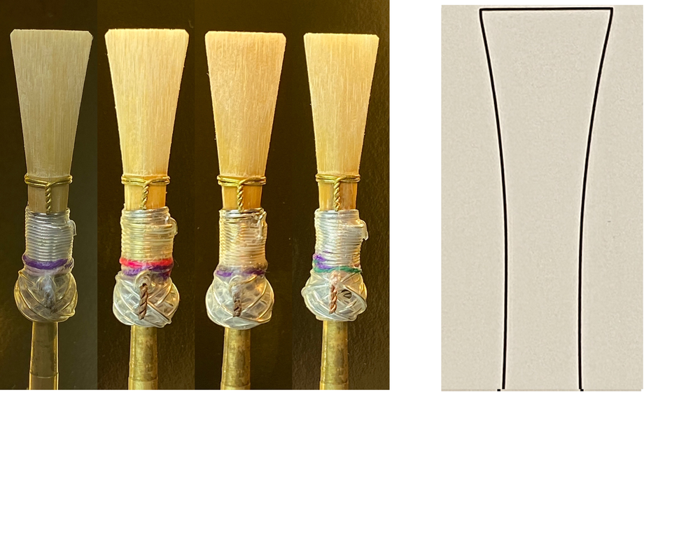 Reed Shape Guide — Steves Reeds Professional bassoon reeds