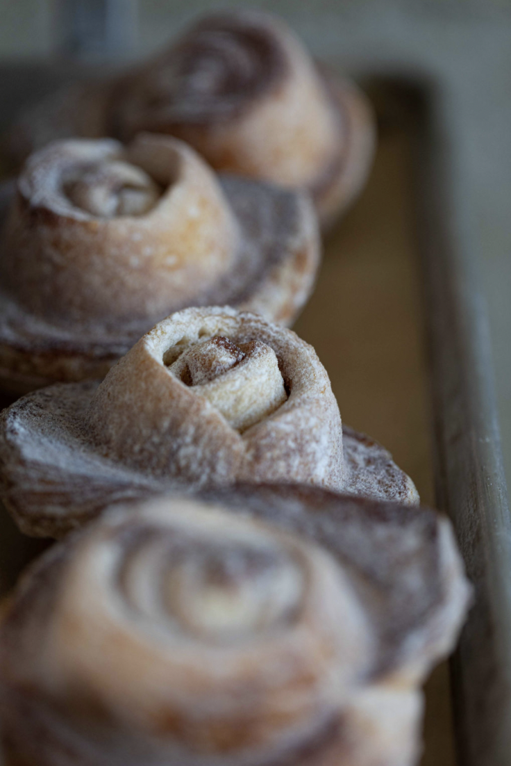 MENU — Backhaus