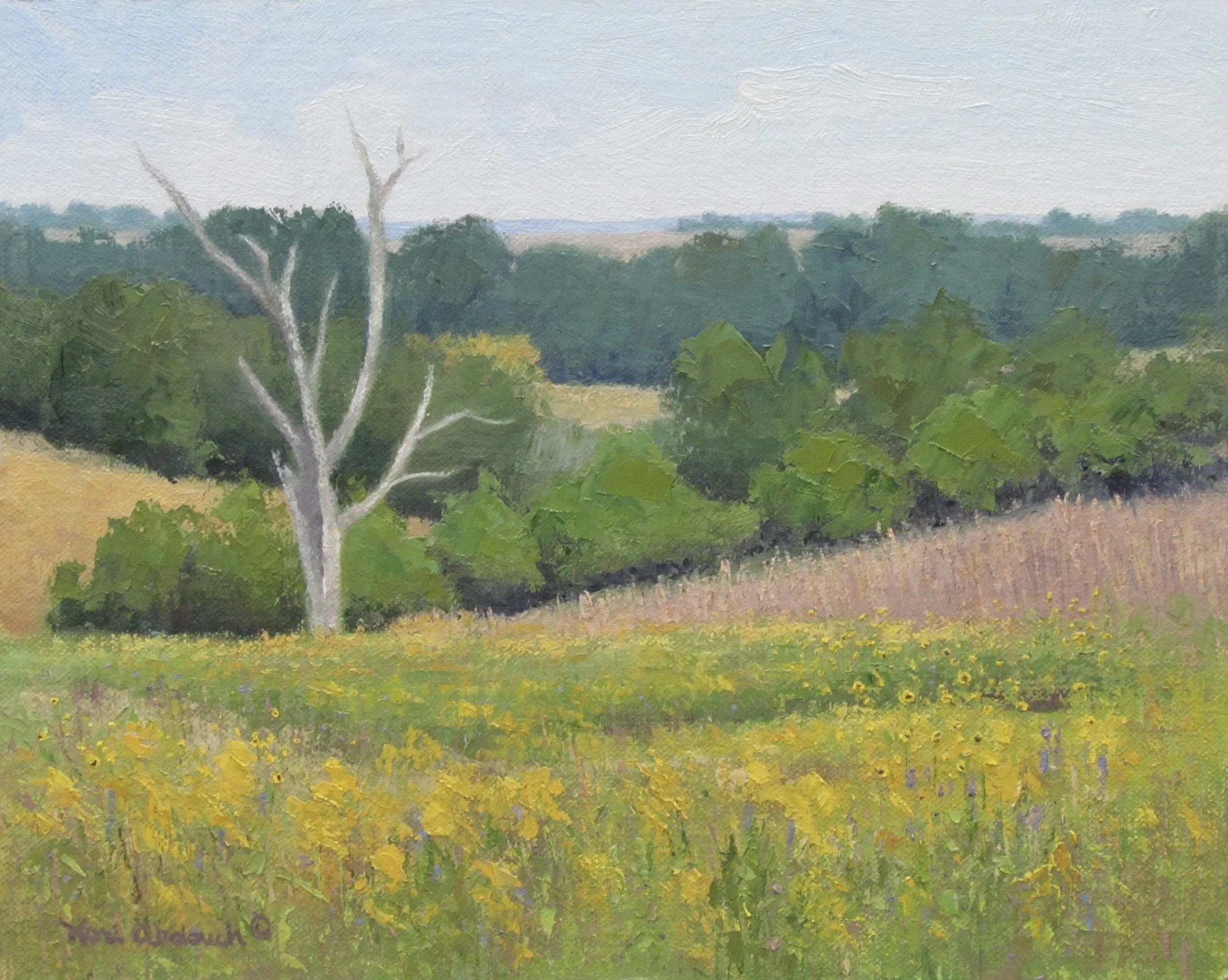 Prairie Revival — Turtle Creek Gallery Fine Art
