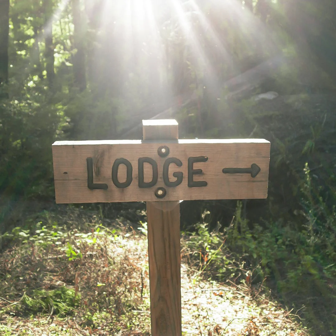 Dog Lodging — Free Paws Dog Lodging & Daycare