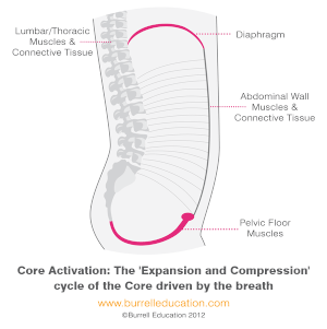 What Is The Pelvic Floor? | Pelvic Floor Physical Therapy