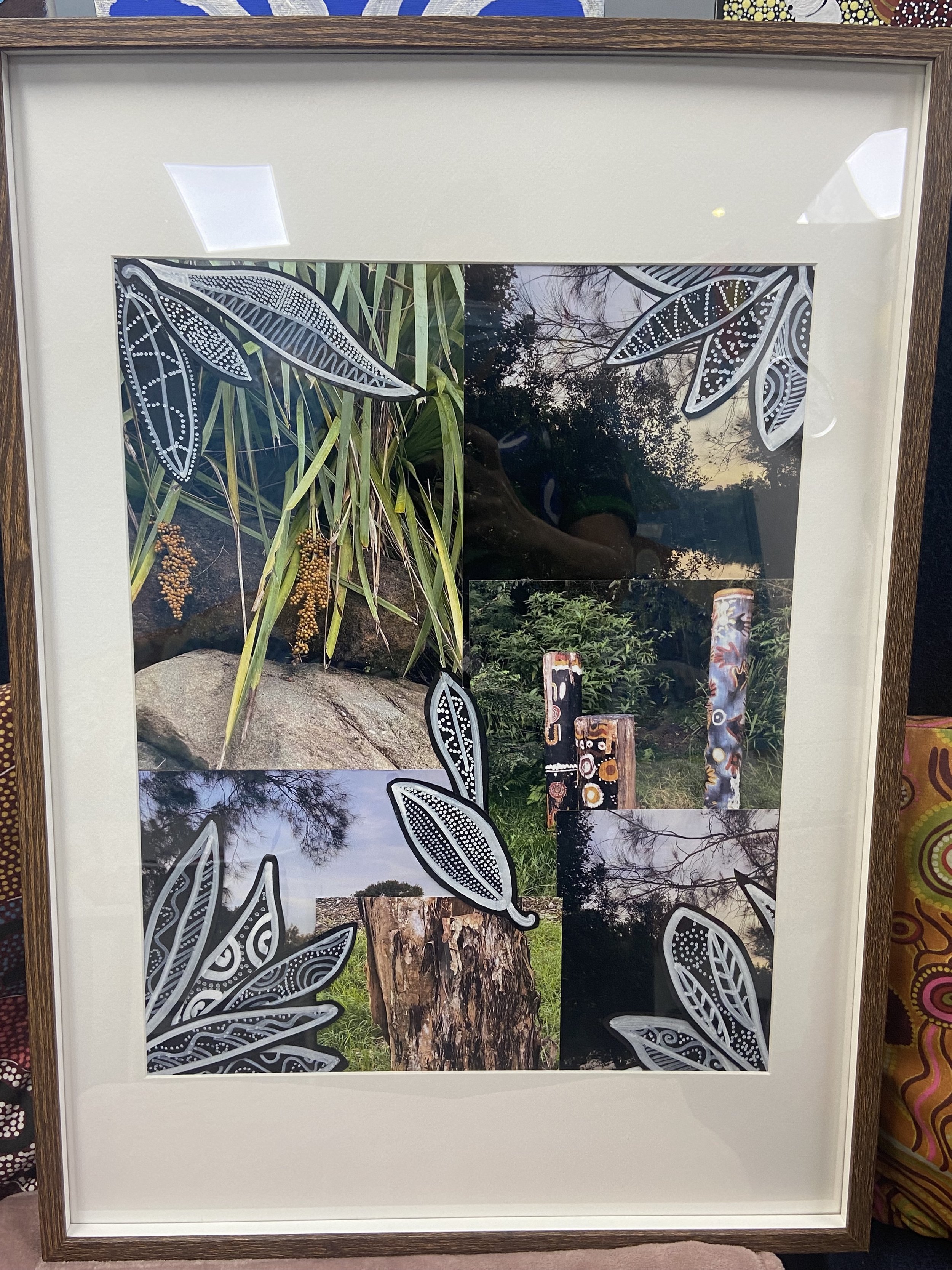 HSC Major Projects Gallery — Aboriginal Studies Association