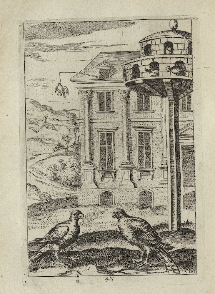 Cuckoo and Cuckold — The Birds of Shakespeare