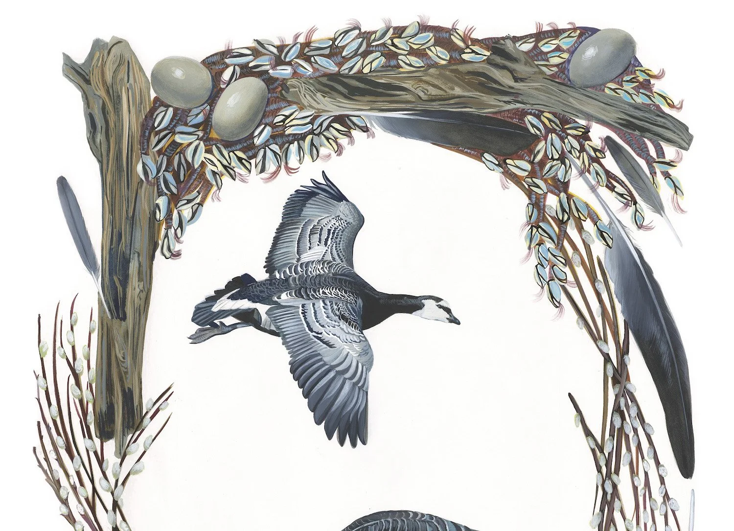 The Birds of Shakespeare