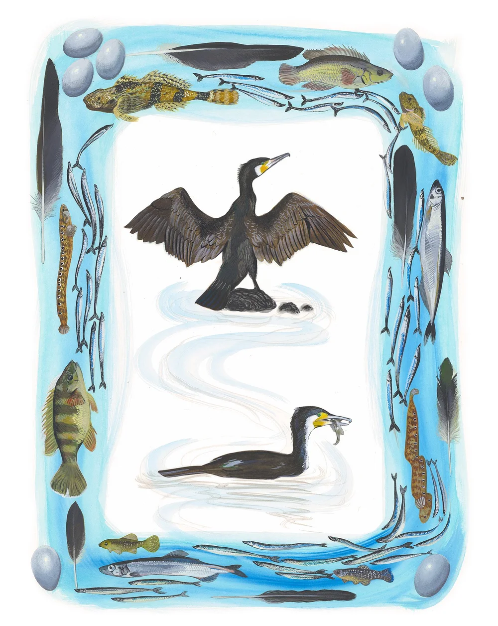 Great Cormorant — The Birds of Shakespeare