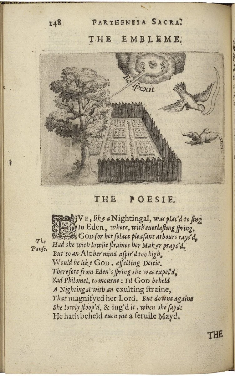 Nightingale — The Birds of Shakespeare