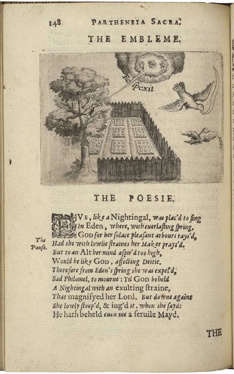 Nightingale — The Birds of Shakespeare