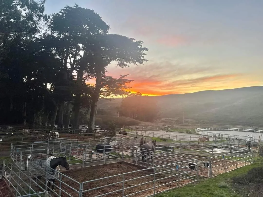 Stables Center — Miwok Equestrian Center