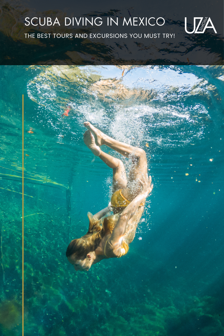 Timeless Connection Between Humanity and Nature — SIMONA UZA