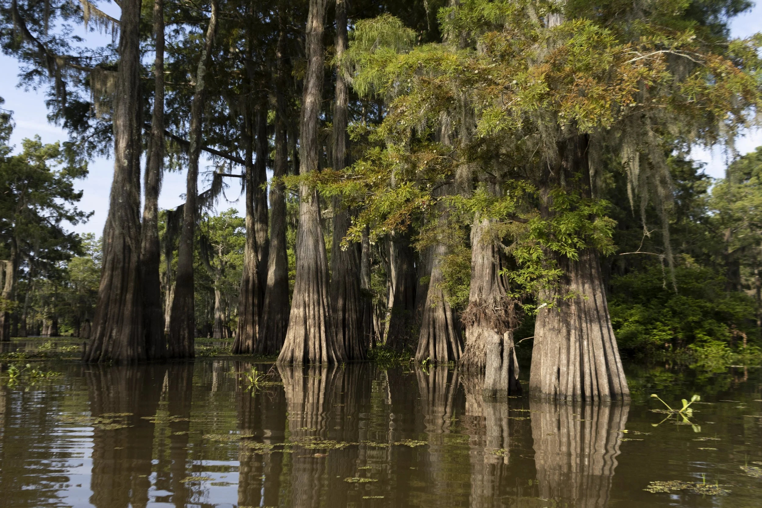 Henderson Lake Atchafalaya National Heritage Area