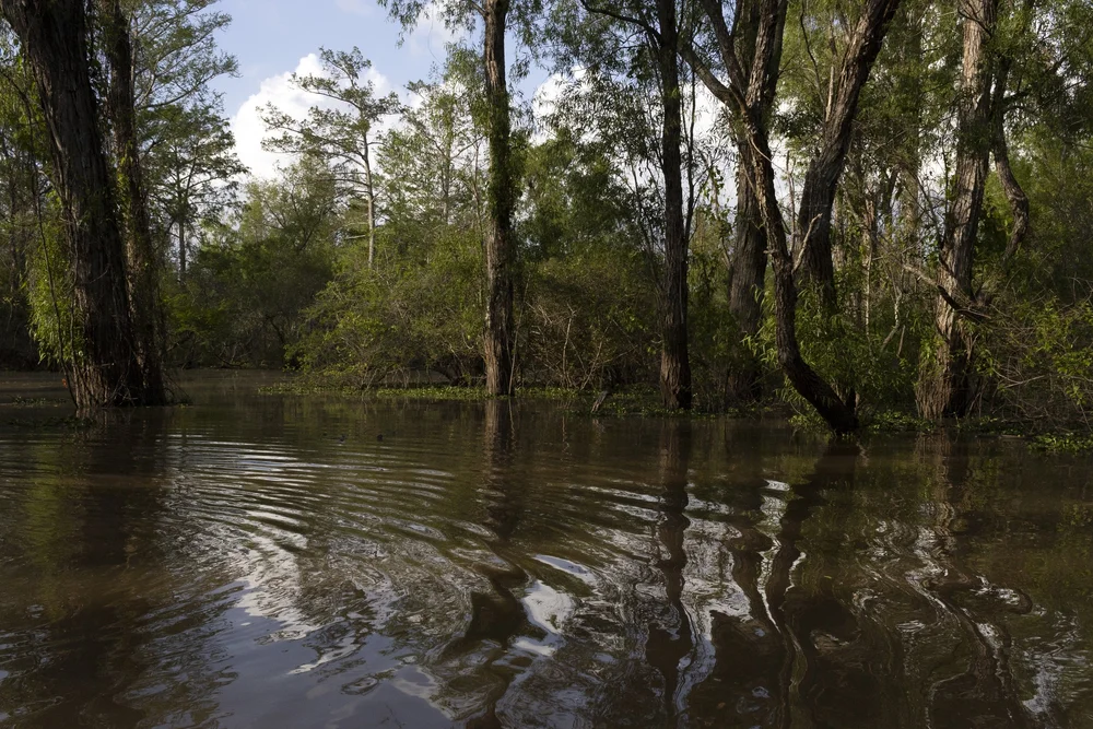 Indian Bayou — Atchafalaya National Heritage Area