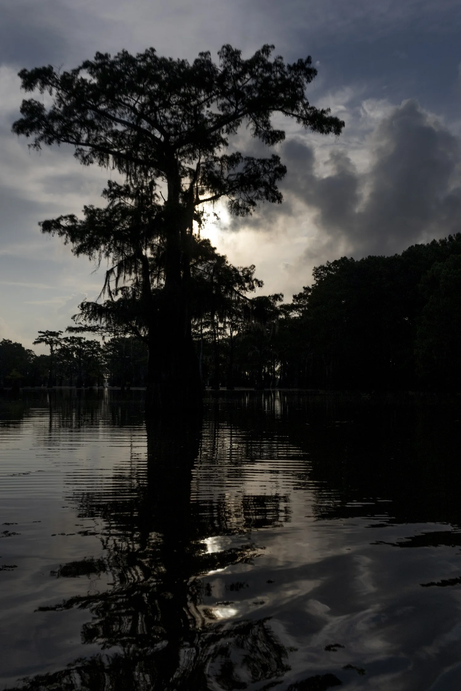Atchafalaya Basin — Atchafalaya National Heritage Area