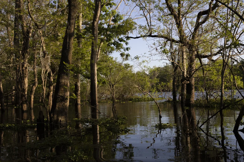 Butte La Rose — Atchafalaya National Heritage Area