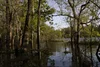 Butte La Rose — Atchafalaya National Heritage Area