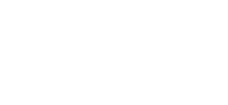 The New Africa Fund