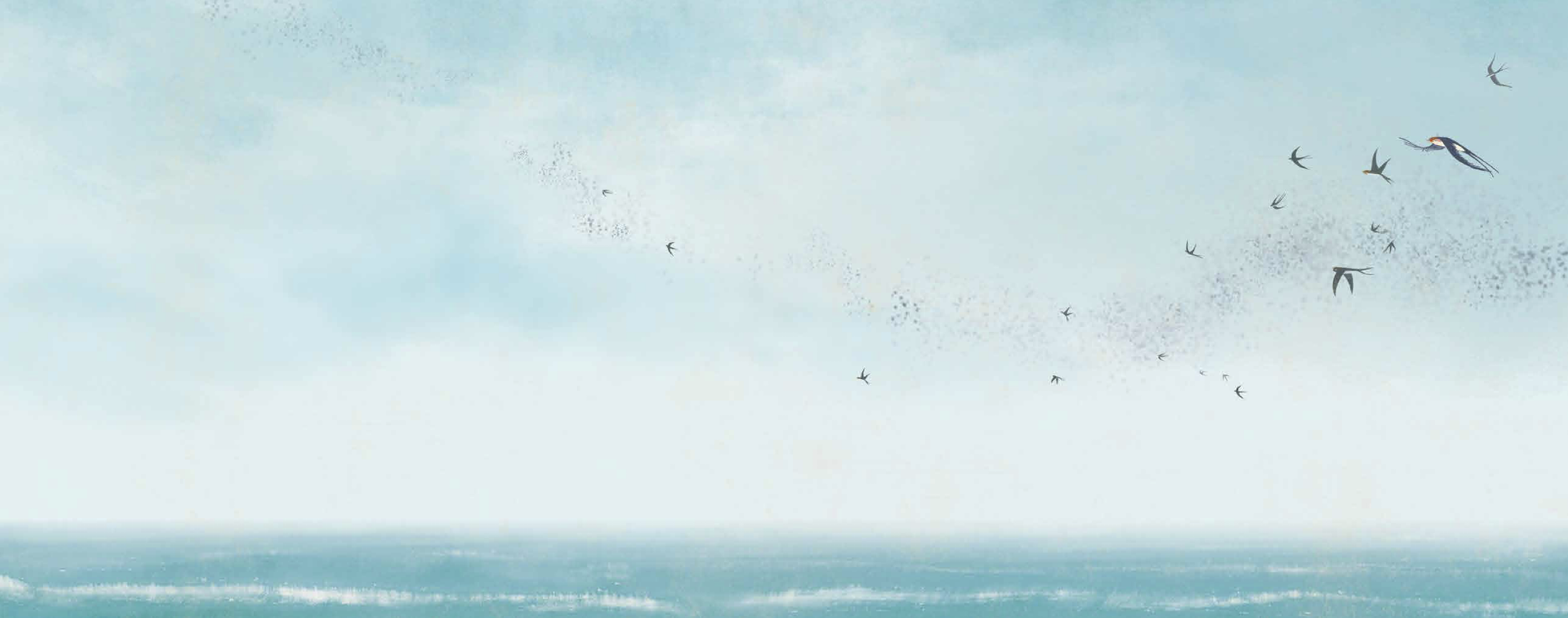 Boundless Sky — Lantana