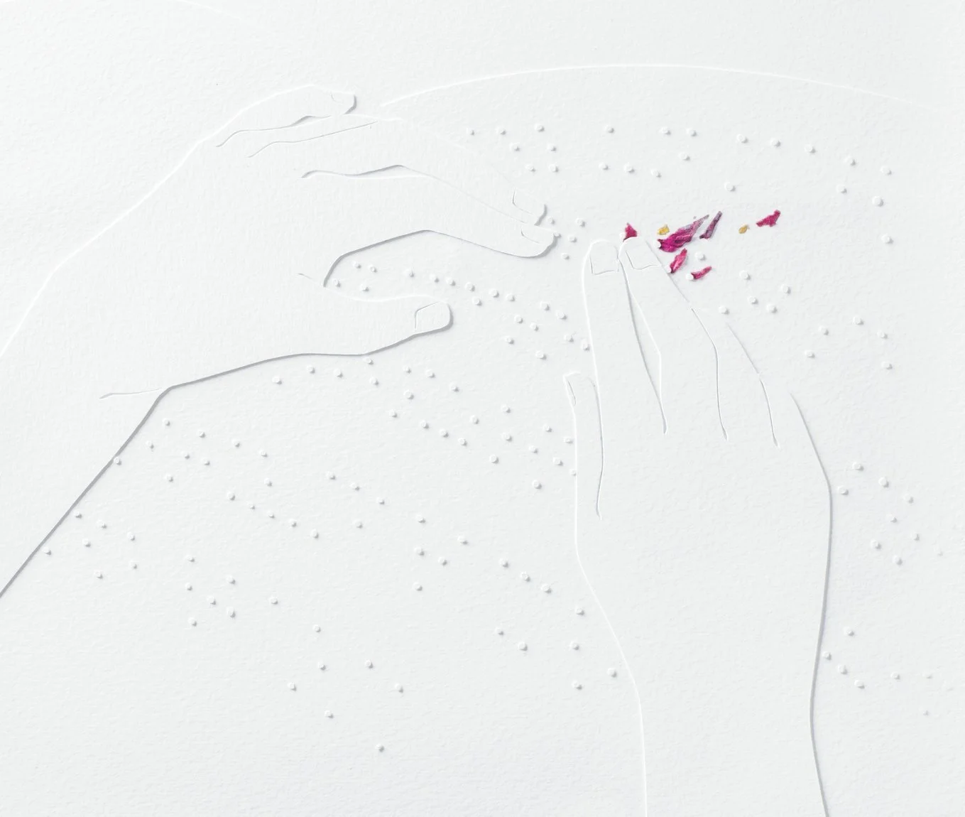 The Invisible Story — Lantana