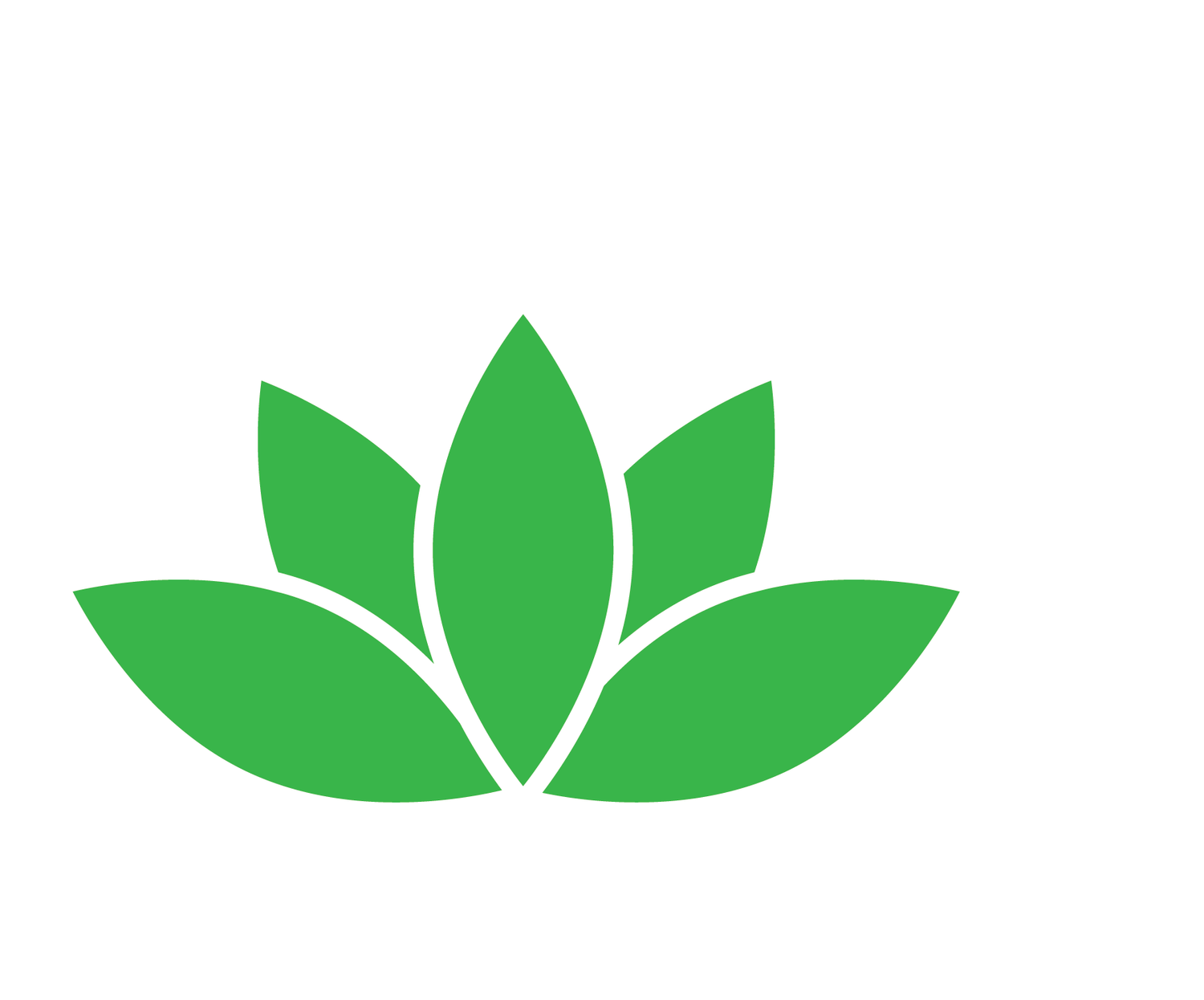 Pittsburgh Fitness Project