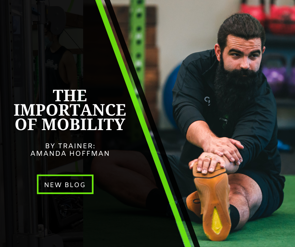 THE IMPORTANCE OF MOBILITY — Pittsburgh Fitness Project