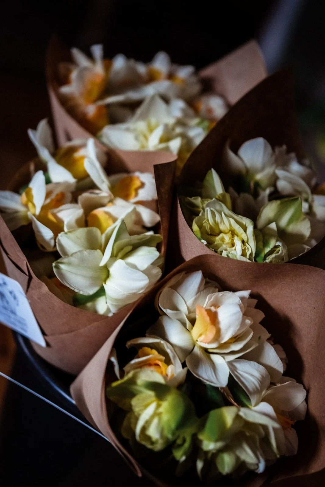 SPRING FLOWER CSA [LATE APRIL/EARLY MAY START] — Silver Street Flower Farm