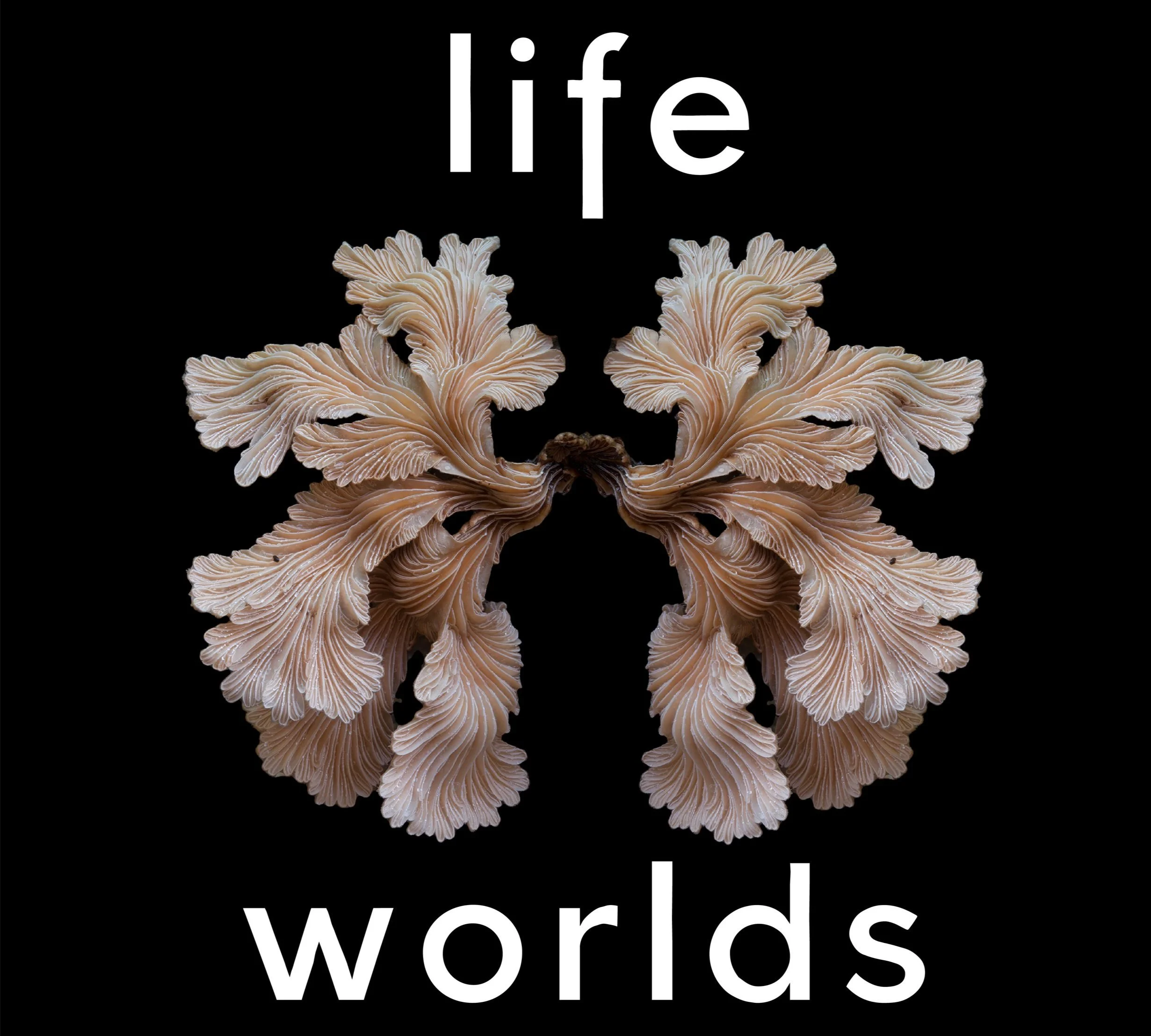 Life Worlds