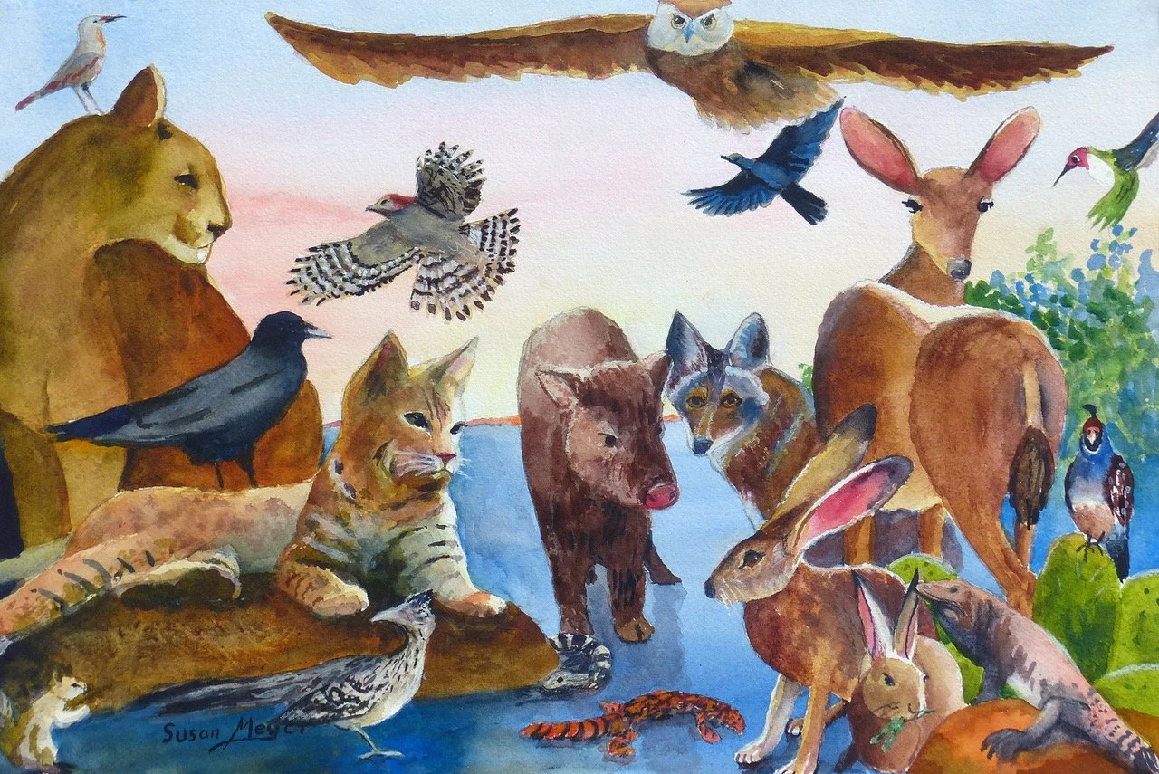 Susan Meyer — Desert Artisans Gallery