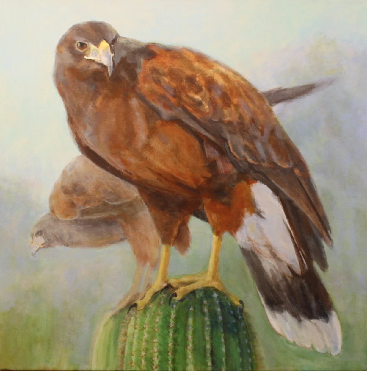 Judith Probst — Desert Artisans Gallery