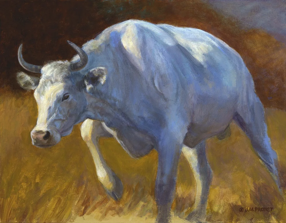 Judith Probst — Desert Artisans Gallery