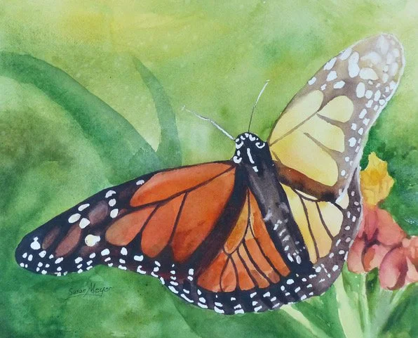 Susan Meyer — Desert Artisans Gallery