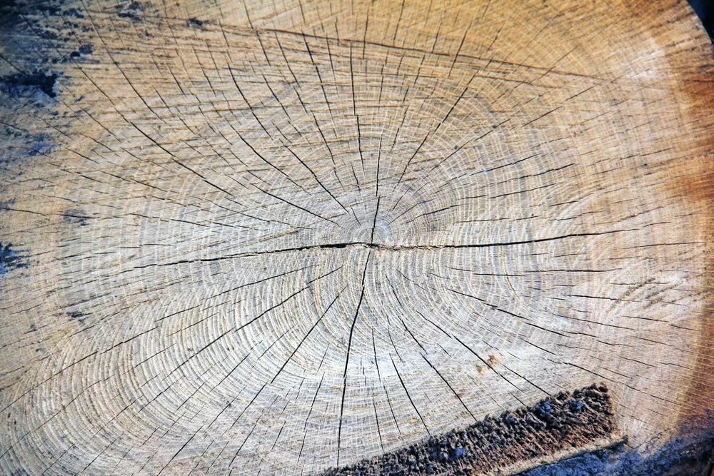 About — M&D Staves