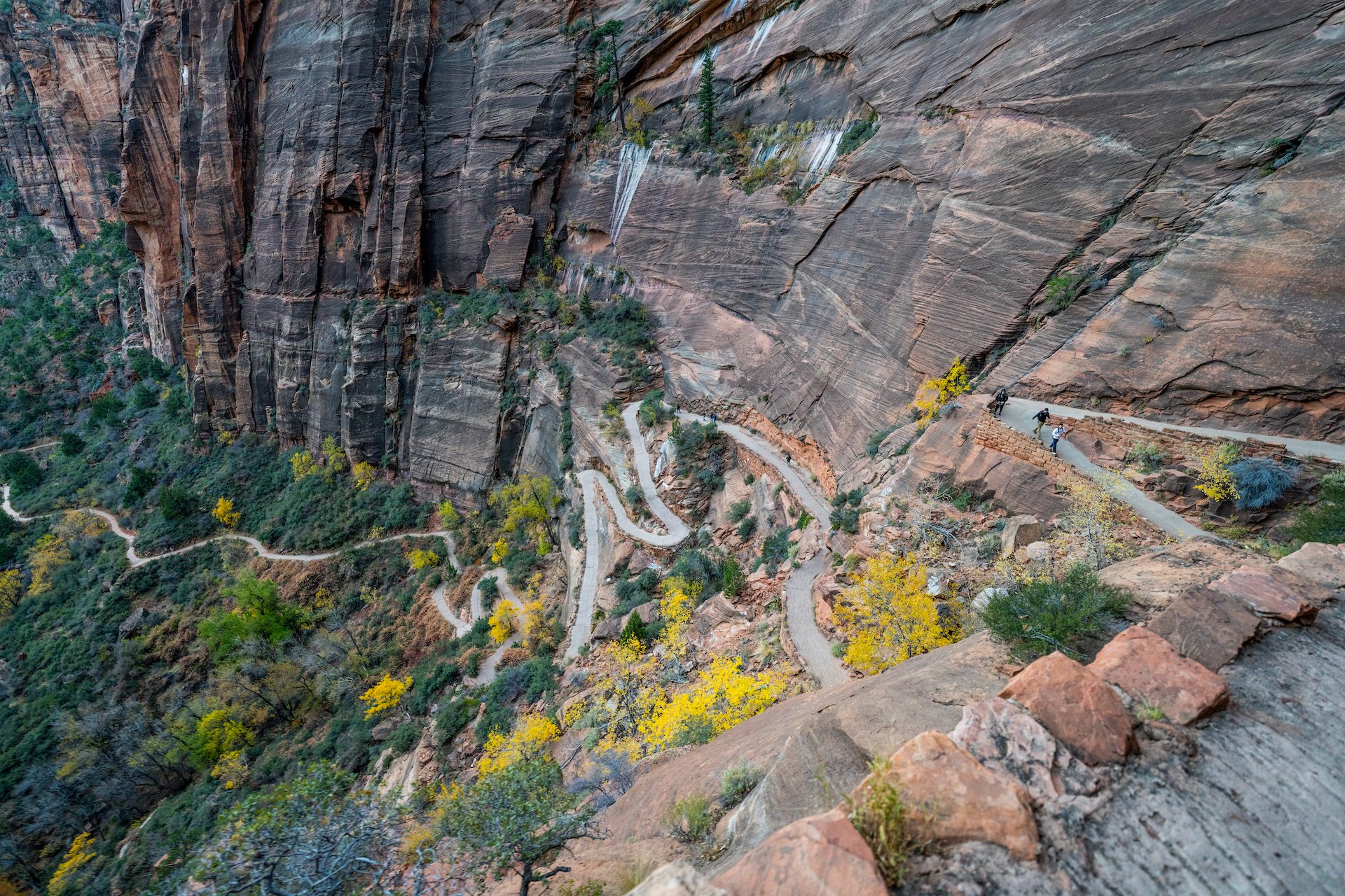 Best Hikes in Zion National Park — gotheredothatllc.com