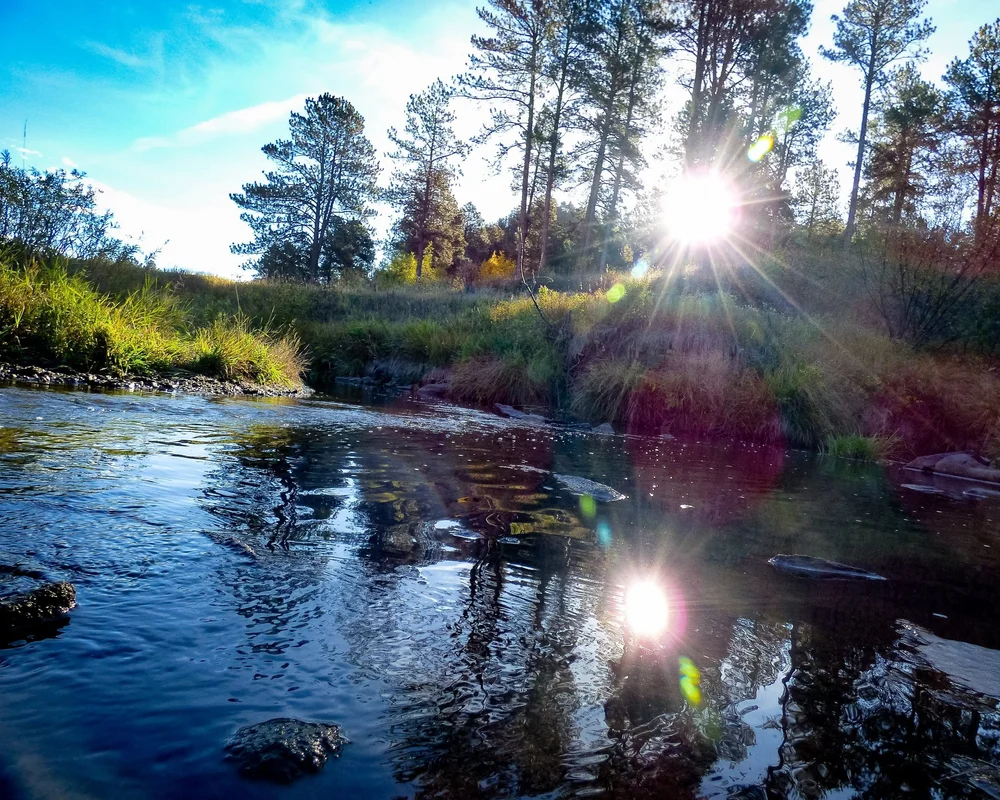 DIAMOND SPUR EVENTS CENTER - BLACK HILLS WEDDING AND EVENT VENUE