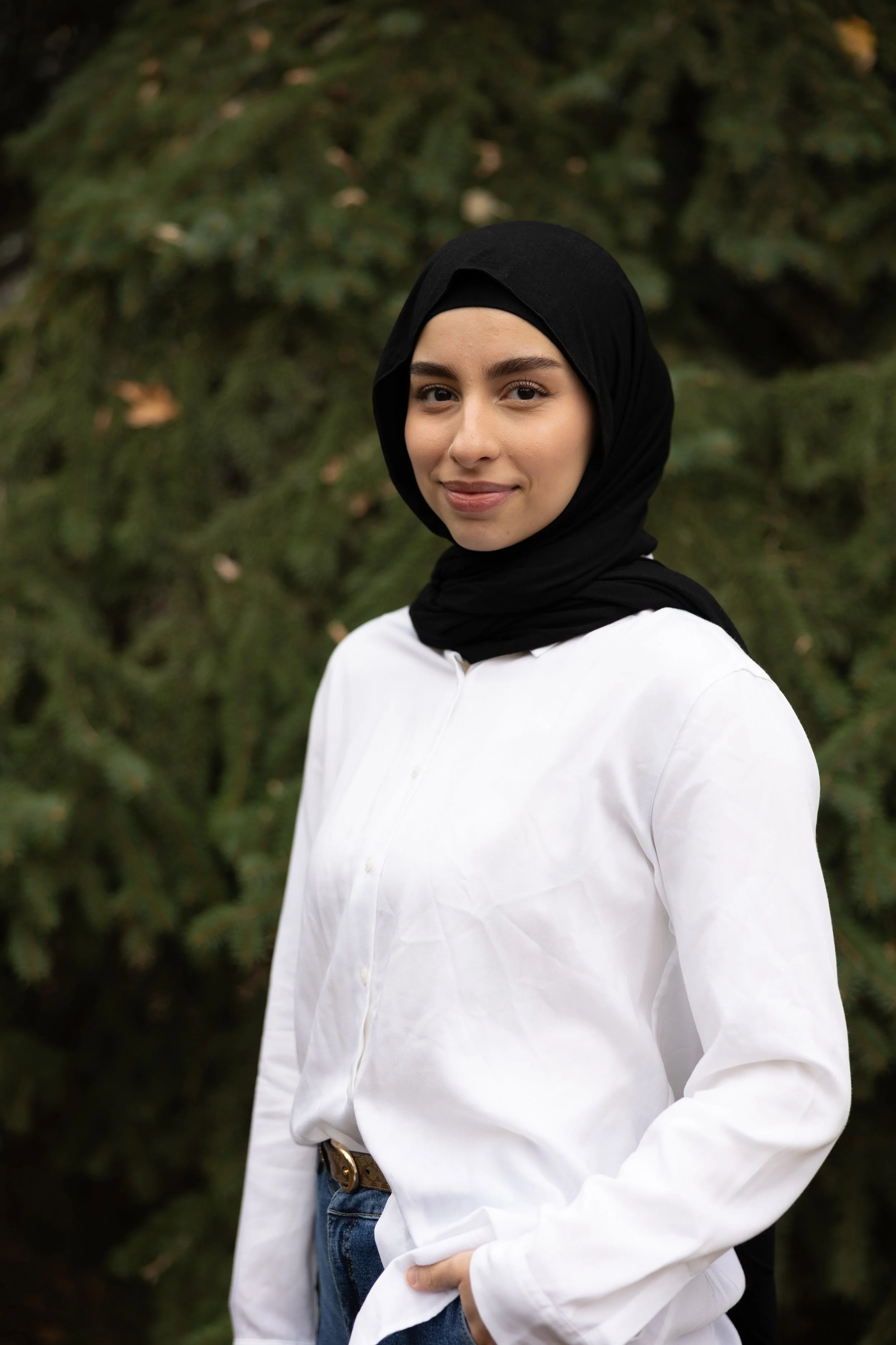 United Nations Security Council — HSMUN