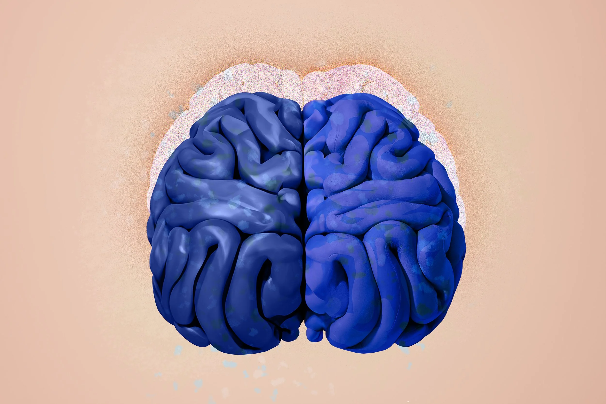 Alignment x The Transmitter — Danielle Ezzo