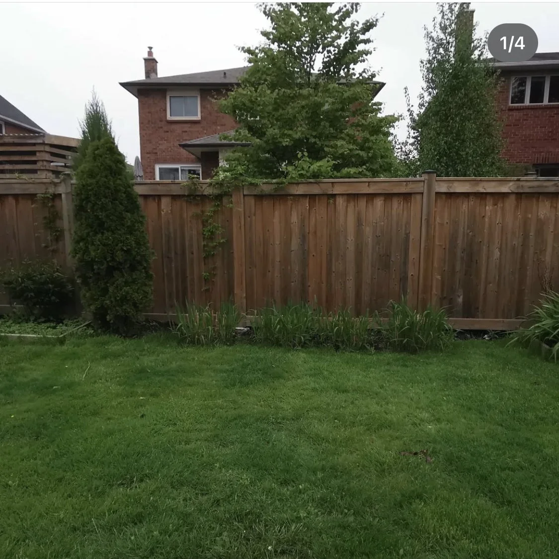 Our Services — Maple Leaf Construction