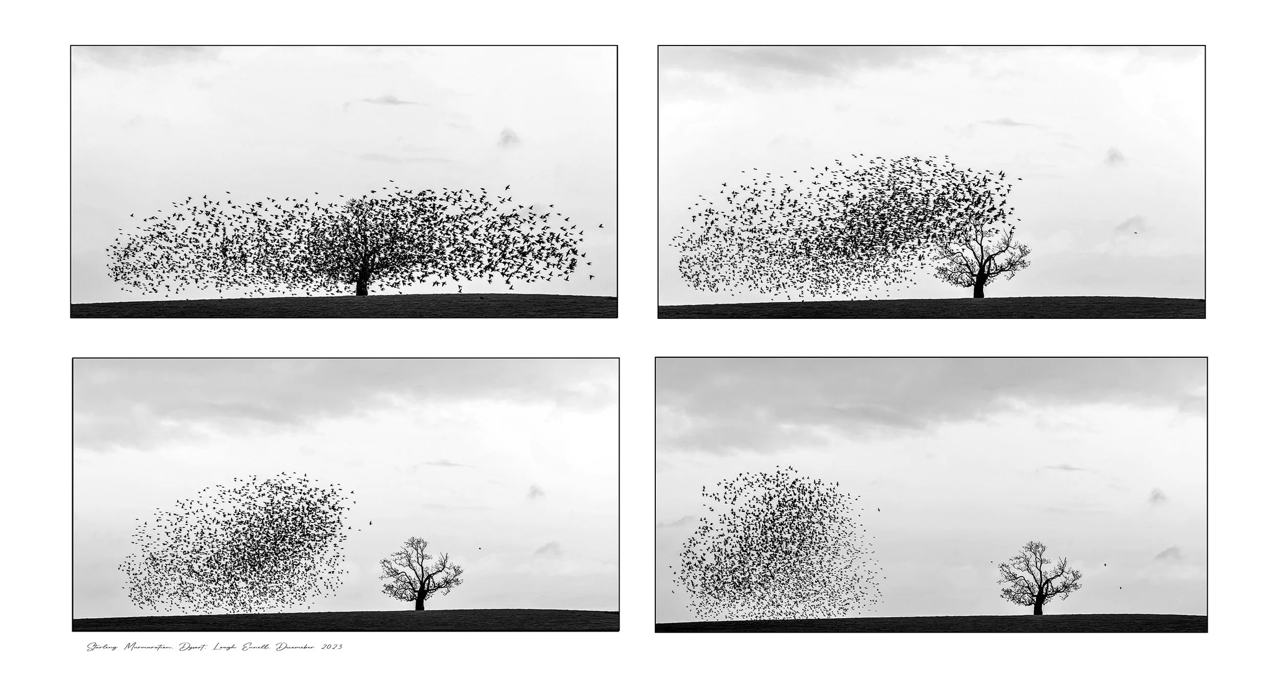 FINE ART PRINTS — JAMES CROMBIE