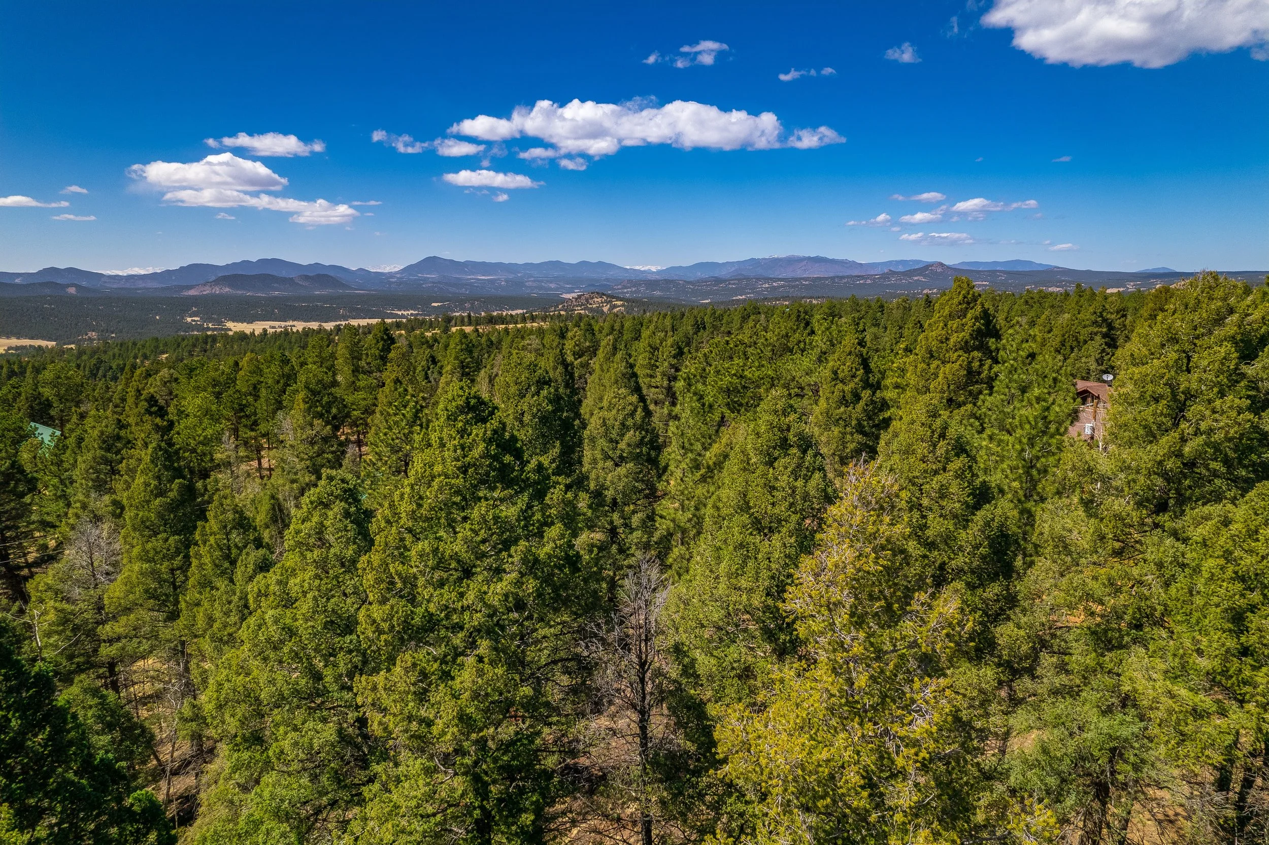 Pinewood Road (Buy Now) - Stepping Stone Land