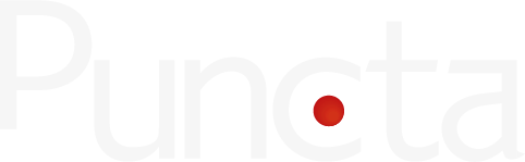 Puncta LLC