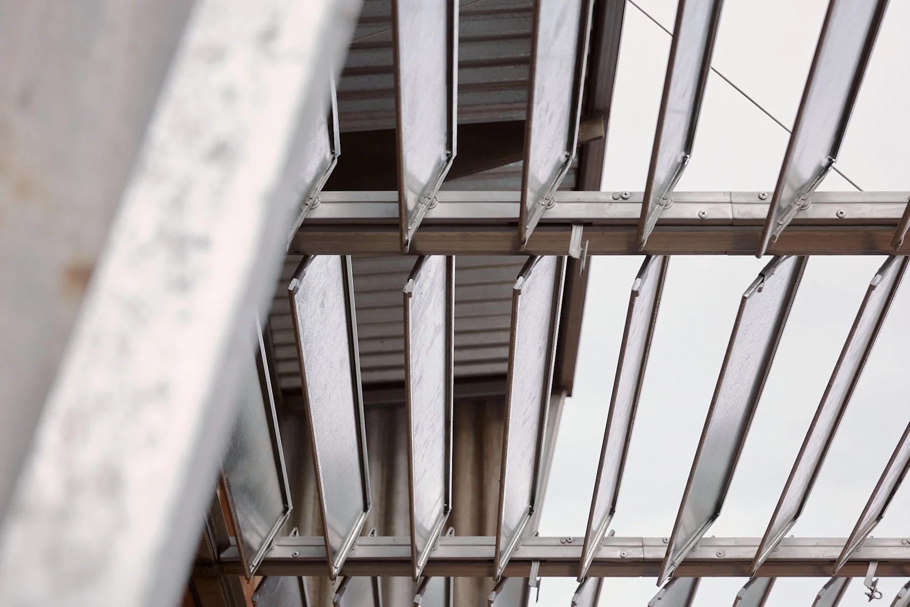 the brumby — ampleco