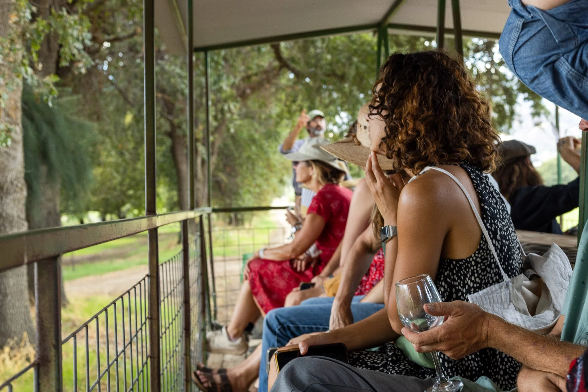 Yolo Countryside | Farms, Wineries & Things to Do in Yolo County