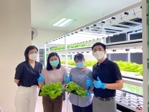 DISTAR FRESH Medical grade vegetable & superfood farm