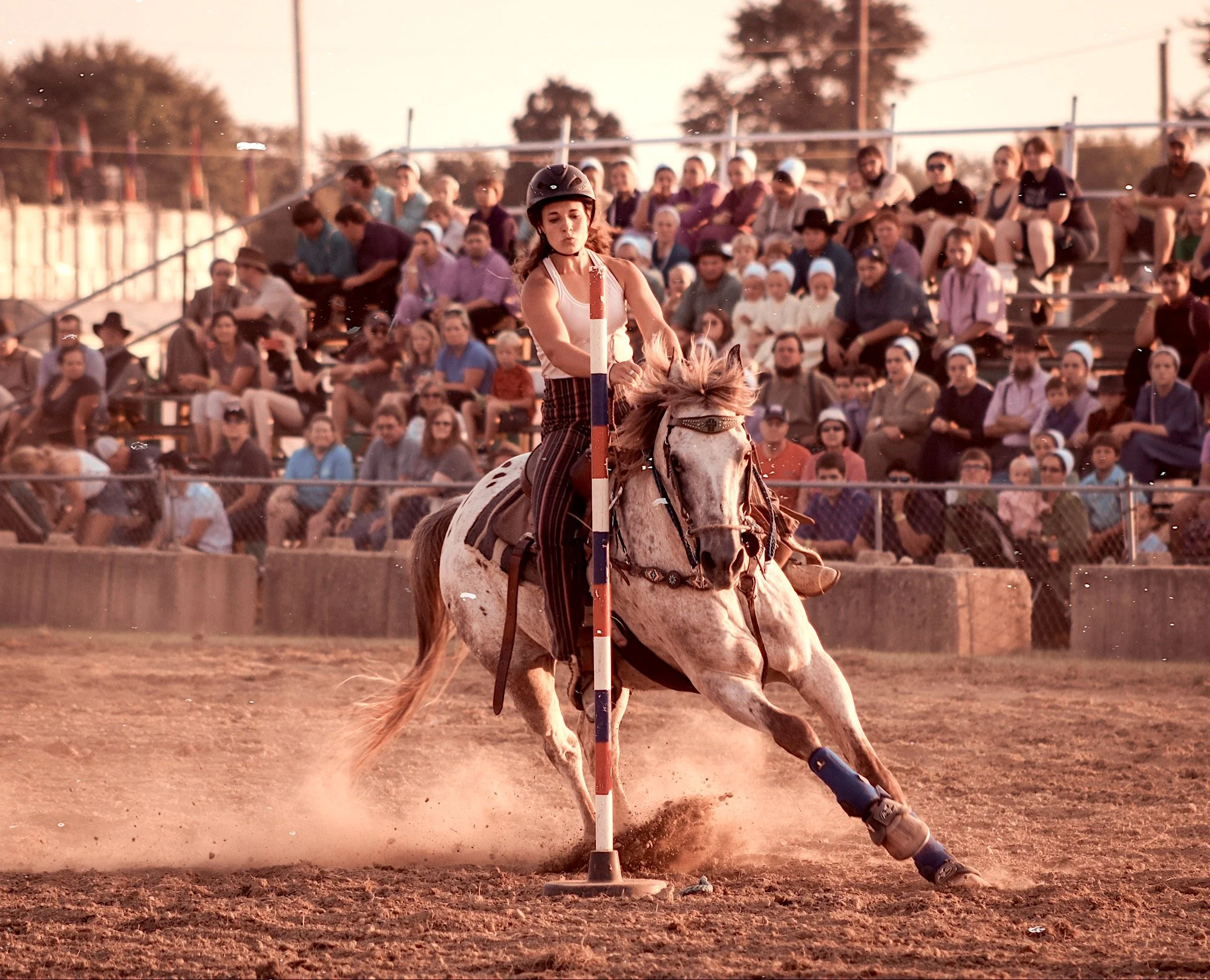 Team — Blue Willow Farm