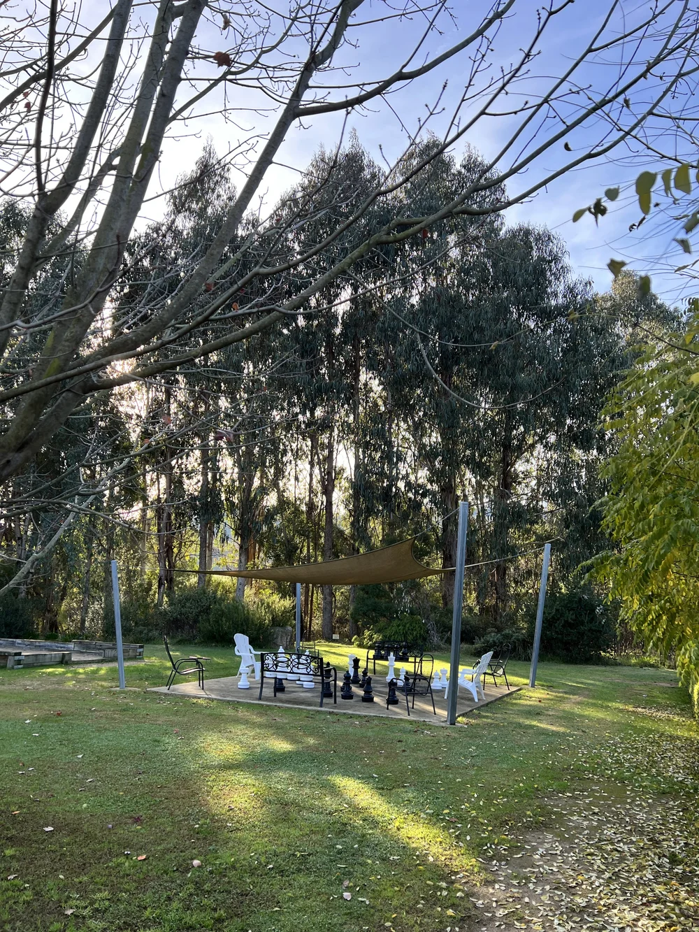 Fun and Kid-Friendly Activities: Exploring Hedge Mazes and More ...