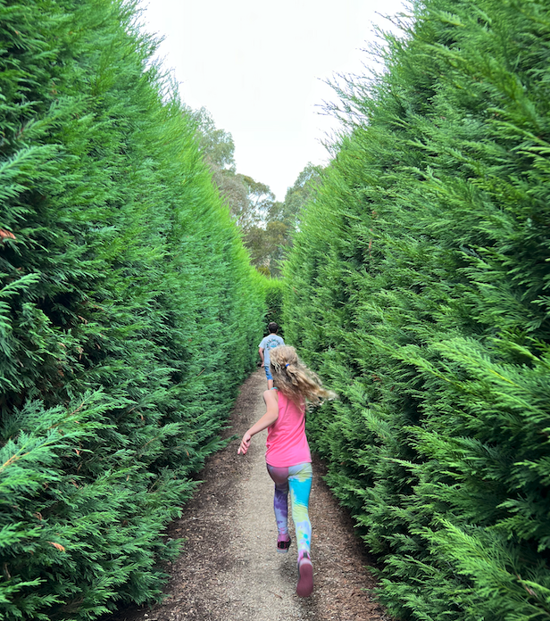 The Educational Benefits of Tackling a Maze for Children — Brookfield Maze