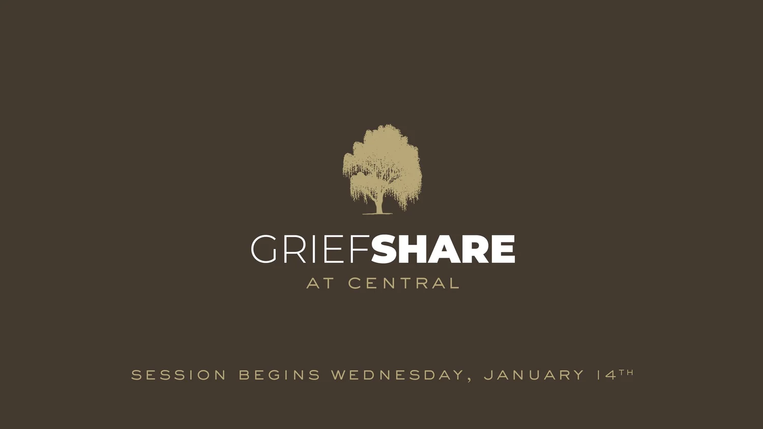 Grief Share — Central Assembly